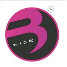 Bwise Solutions - Crunchbase Company Profile & Funding