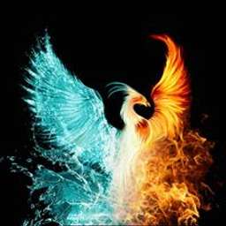 Prime Phoenix Fire Fighting Installation - Crunchbase Company Profile ...