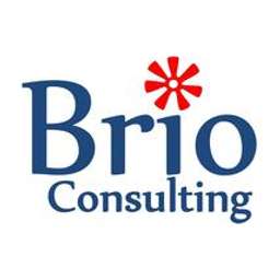 Brio Consulting - Crunchbase Company Profile & Funding