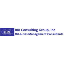 BRI Consulting Group - Tech Details