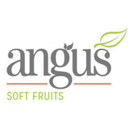 Angus Soft Fruits - Crunchbase Company Profile & Funding