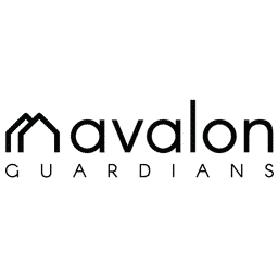 Avalon Guardians - Tech Details