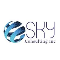 Sky Consulting - Crunchbase Company Profile & Funding