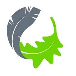 Okizu - Crunchbase Company Profile & Funding