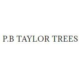 Pb Taylor Tress - Tech Details