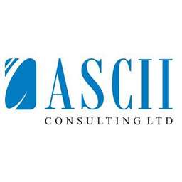 ASCII Consulting - Crunchbase Company Profile & Funding