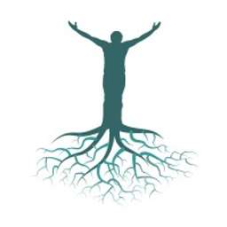 Sensitive Evolution - Tech Details