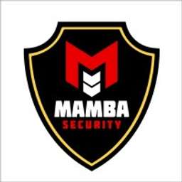 Mamba Security - Crunchbase Company Profile & Funding