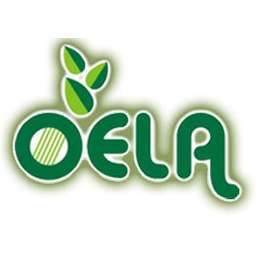 Oficina Escola de Lutheria da Amazônia - Crunchbase Company Profile ...