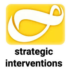Strategic Interventions - Crunchbase Company Profile & Funding