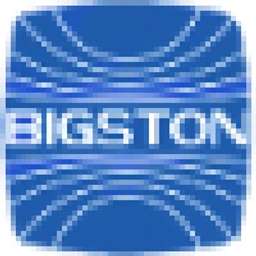 Bigston Corporation - Crunchbase Company Profile & Funding
