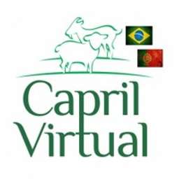 capril virtual - Crunchbase Company Profile & Funding