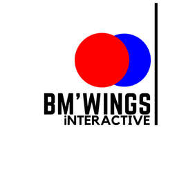BM'WINGS INTERACTIVE - Tech Details