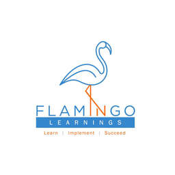Flamingo Learnings