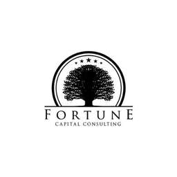 Fortune Capital Consulting - Crunchbase Company Profile & Funding