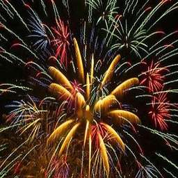 Pyro's Paradise Inc. - Crunchbase Company Profile & Funding