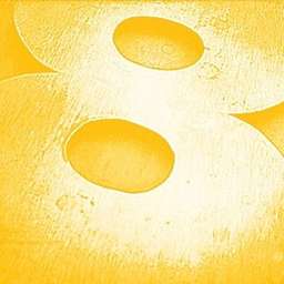 Route 8 - Crunchbase Company Profile & Funding