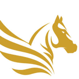 Pegasus Storage - Crunchbase Company Profile & Funding