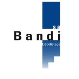 Bandi - Crunchbase Company Profile & Funding