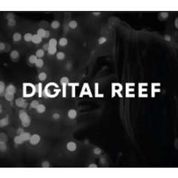 Digital Reef - Crunchbase Company Profile & Funding