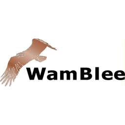 Wamblee - News & Analysis
