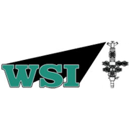 WSI Enterprises