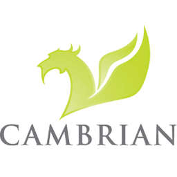 Cambrian Solutions - Crunchbase Company Profile & Funding