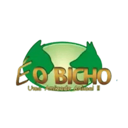 É o Bicho - Crunchbase Company Profile & Funding