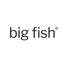 Big Fish - Crunchbase Company Profile & Funding