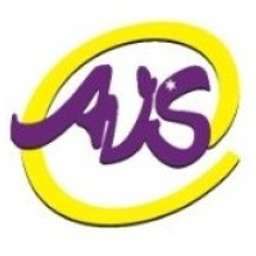 AVS Group - Crunchbase Company Profile & Funding