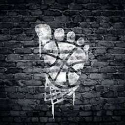 Bigfoot Hoops - Crunchbase Company Profile & Funding