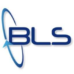 Blue Logic Solutions