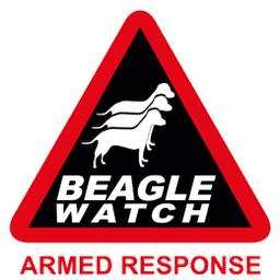 Beagle Watch