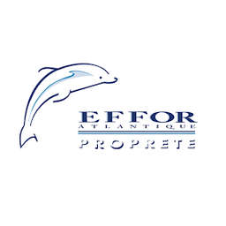 EFFOR Proprete - Crunchbase Company Profile & Funding