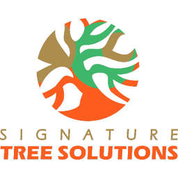 Signature Tree Solutions - Crunchbase Company Profile & Funding
