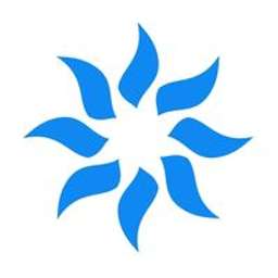 Star Anise - Crunchbase Company Profile & Funding