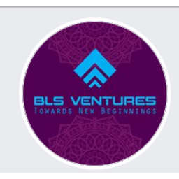 BLS Ventures - Crunchbase Company Profile & Funding