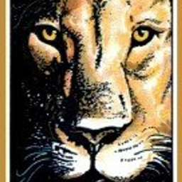 King Fresh Produce - Crunchbase Company Profile & Funding