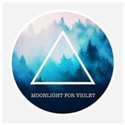 Moonlight for Violet - Crunchbase Company Profile & Funding