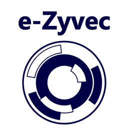 e-Zyvec - Crunchbase Company Profile & Funding