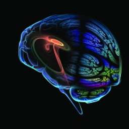 Laboratory for Computational Neurodiagnostics