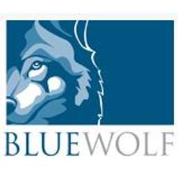 Blue Wolf Capital Partners - Crunchbase Company Profile & Funding