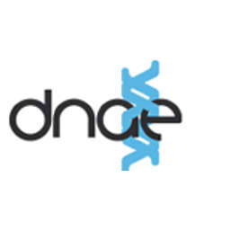 DNAe LTD - Financial Details