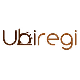 Ubiregi - Financial Details