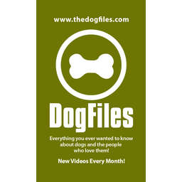Dog Files