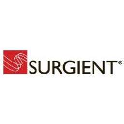 Surgient - News & Analysis