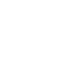 step.pe - News & Analysis