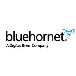 BlueHornet - Crunchbase Company Profile & Funding