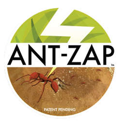ANT ZAP - Crunchbase Company Profile & Funding