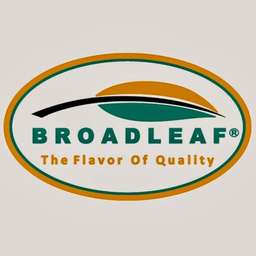 Broadleaf Game - Crunchbase Company Profile & Funding